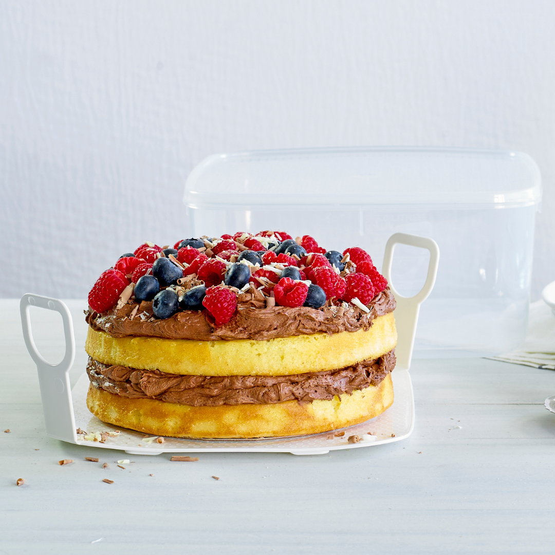 Tellfresh™ Cake Container with Lifter | Décor Australia – Décor Australia